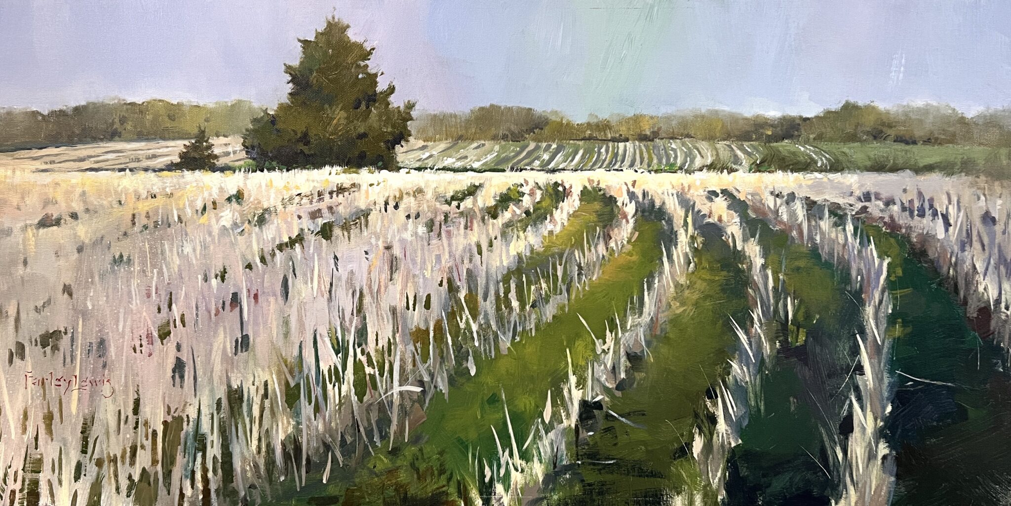 Farley Lewis | Paintings